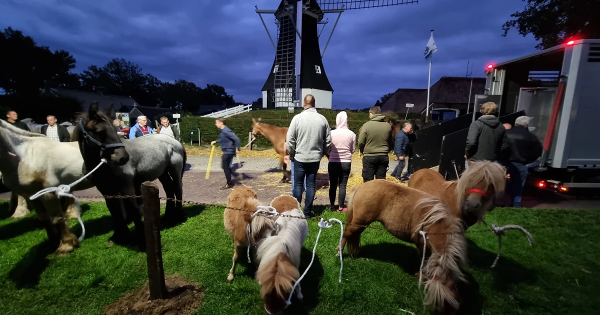 Paardenmarkt Rolde vroeg van start - Rolde.nl