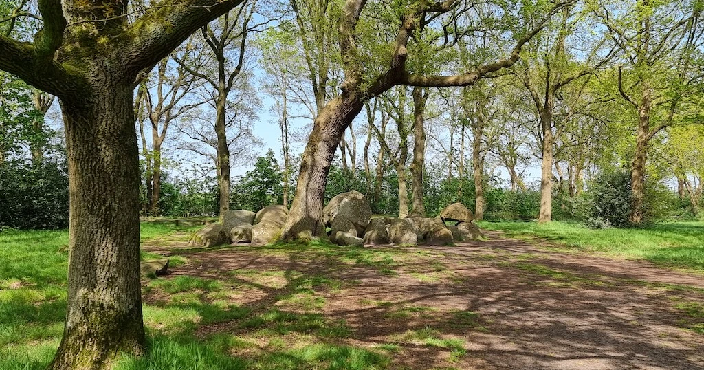 Hunebed D17 - Rolde.nl